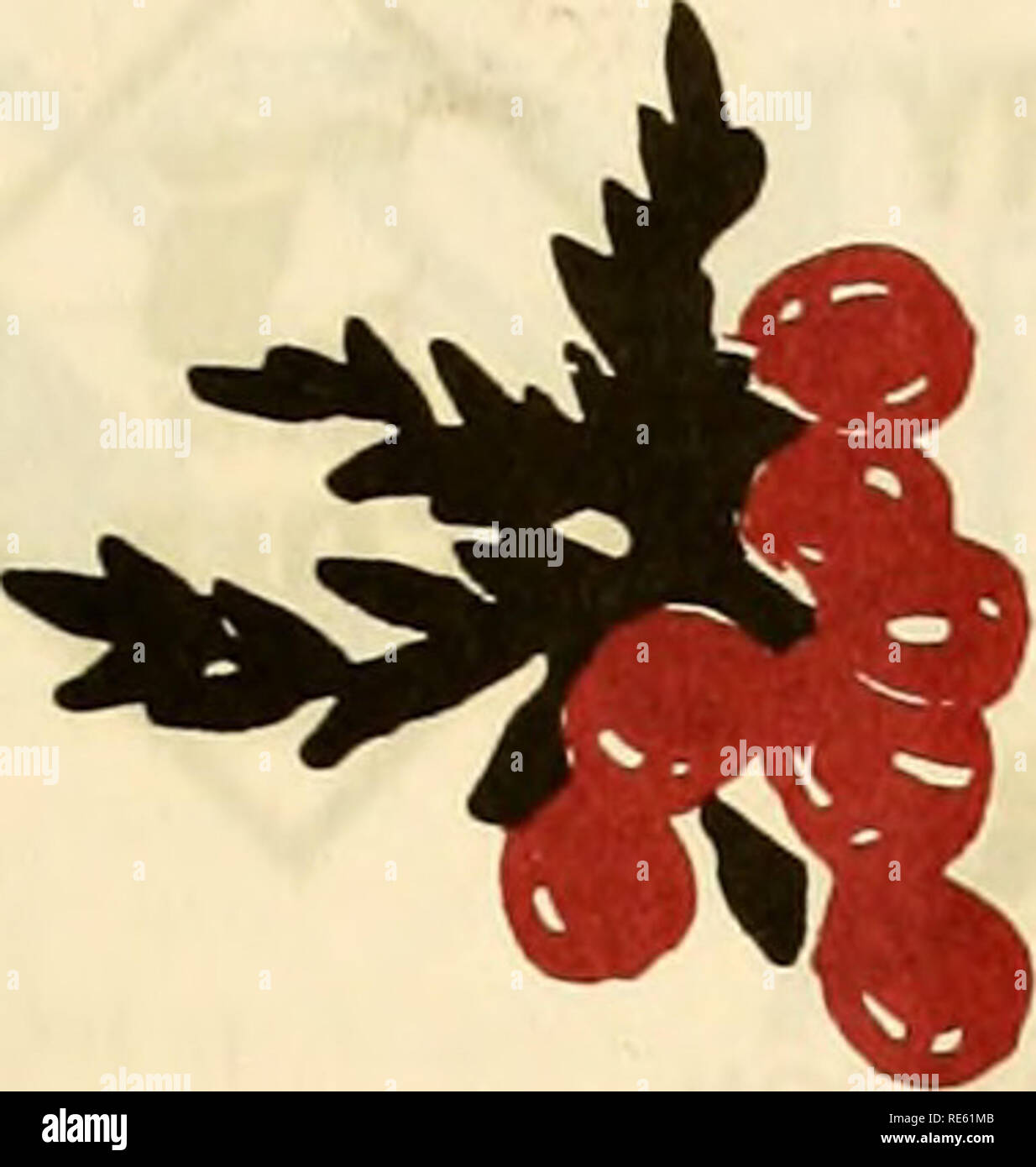 763 Ers High Resolution Stock Photography and Images - Alamy