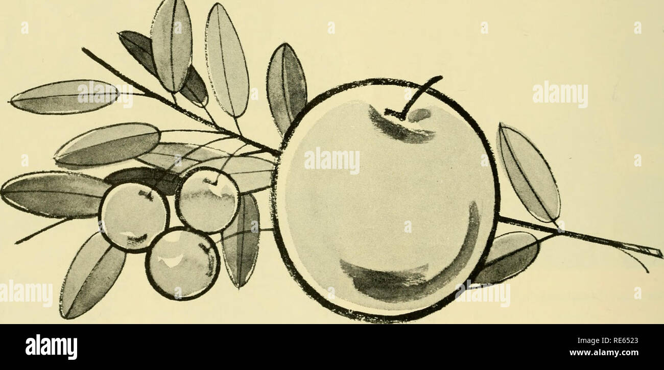 . Cranberries; : the national cranberry magazine. Cranberries. John ...