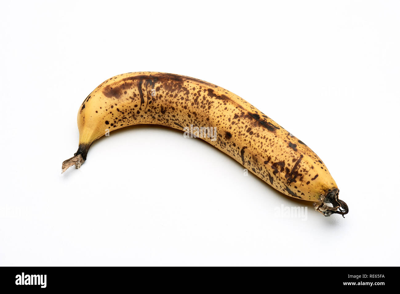 A single banana reaching full ripeness and beginning to spoil isolated ...