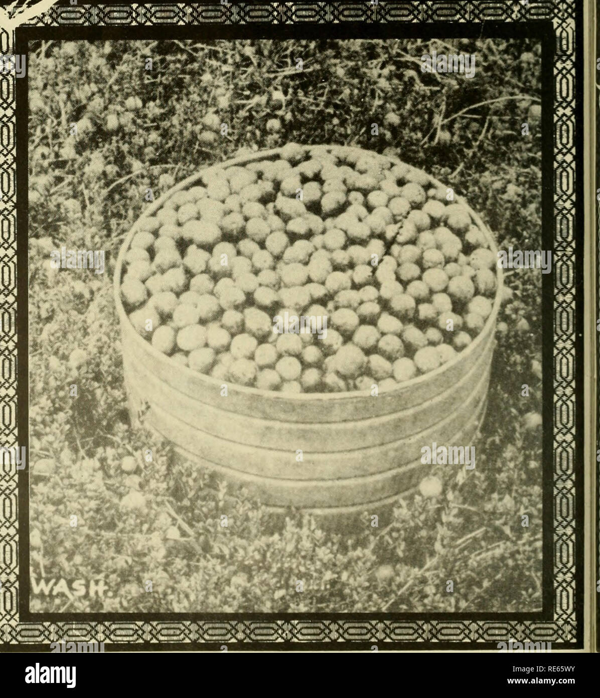 . Cranberries; : the national cranberry magazine. Cranberries. A ...