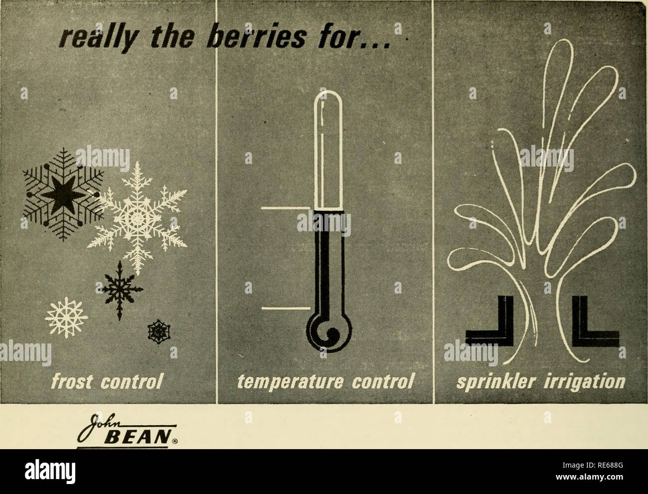 Solid set irrigation hi-res stock photography and images - Alamy