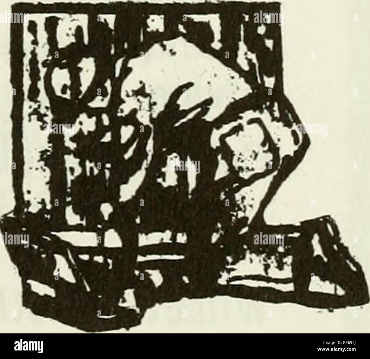 . Cranberries; : the national cranberry magazine. Cranberries ...