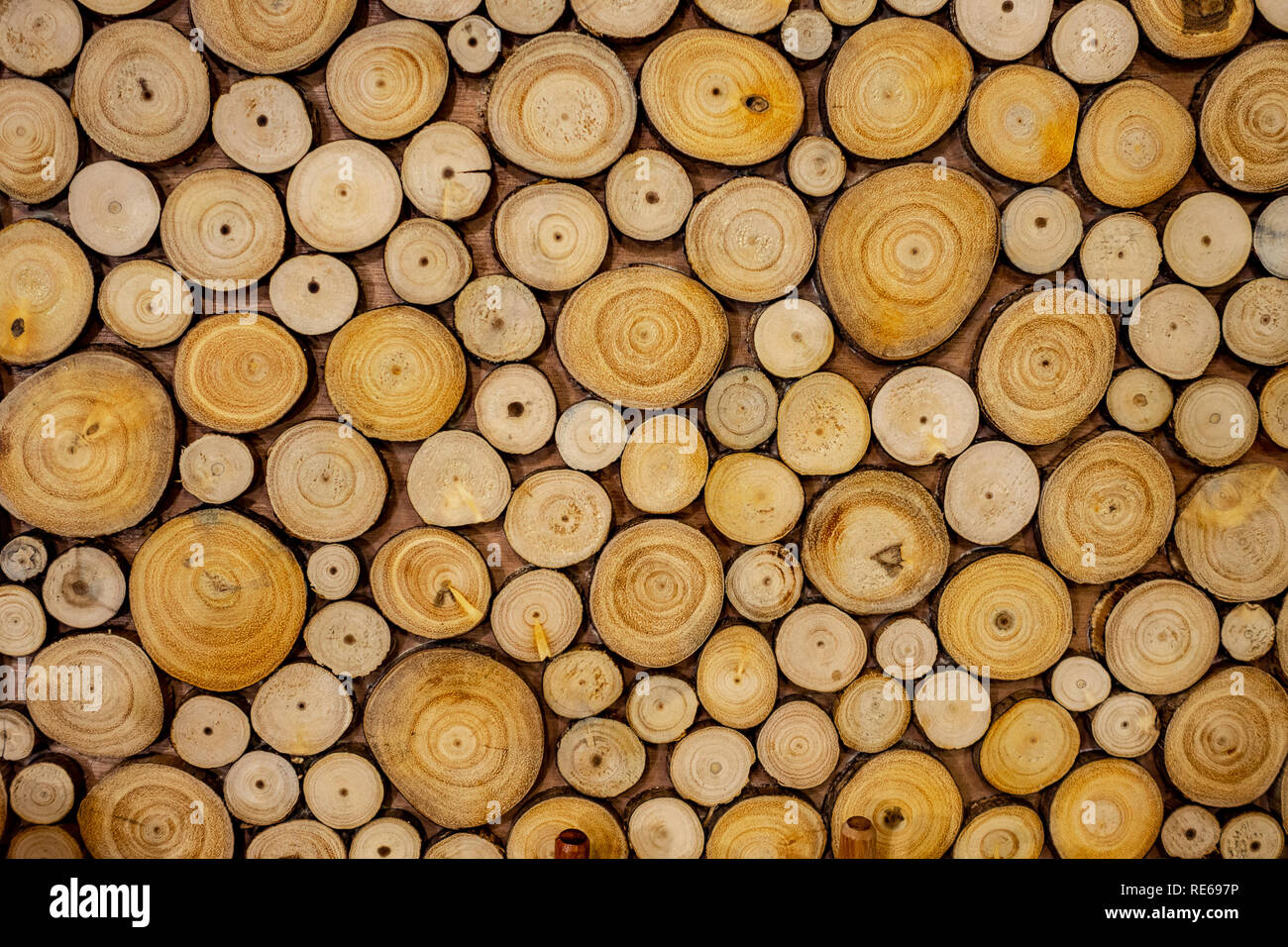 Texture of wooden log section used for background Stock Photo - Alamy