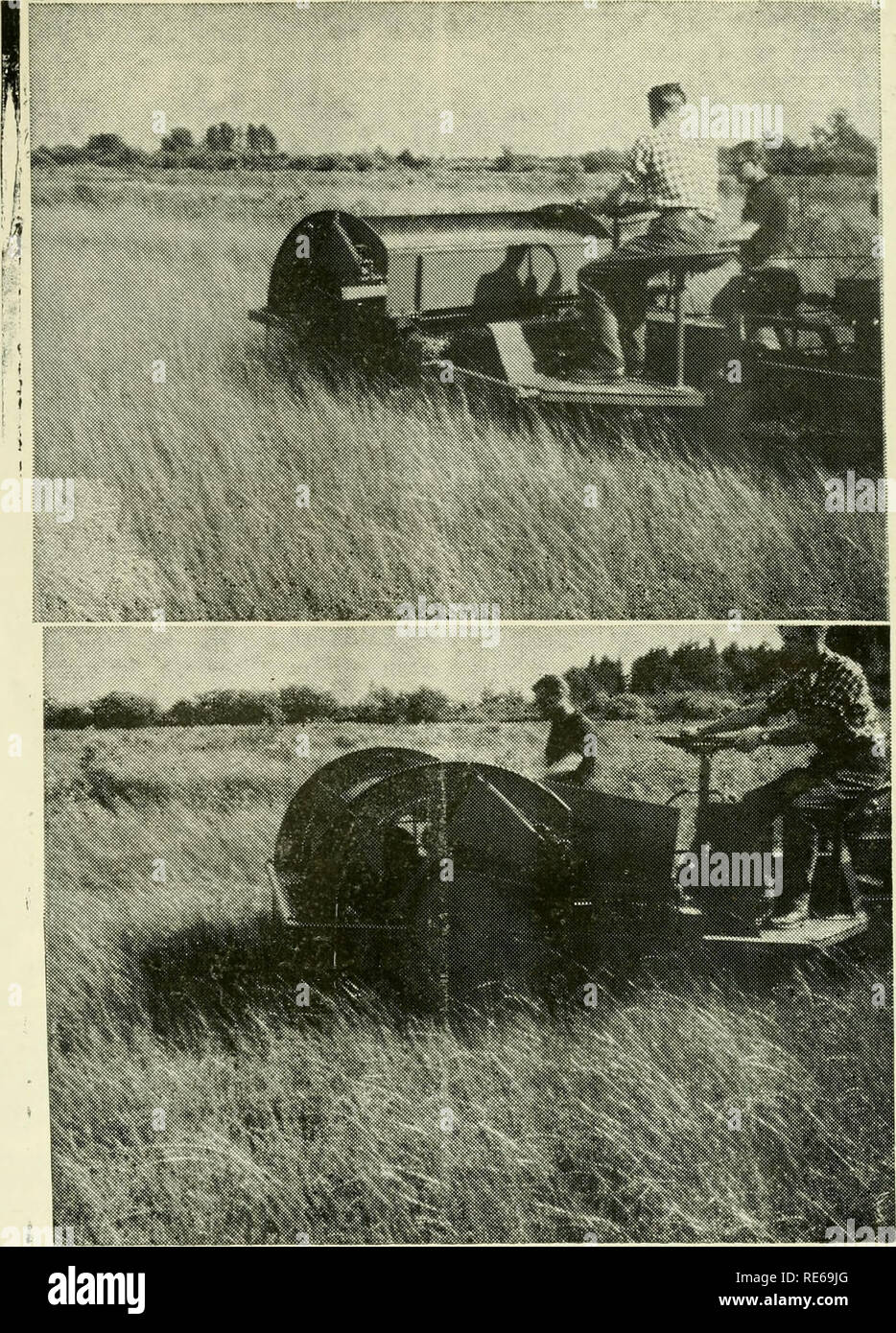 . Cranberries; : the national cranberry magazine. Cranberries. Pryde ...