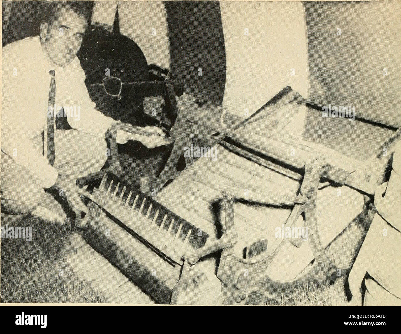 Cranberry picker hi-res stock photography and images - Alamy