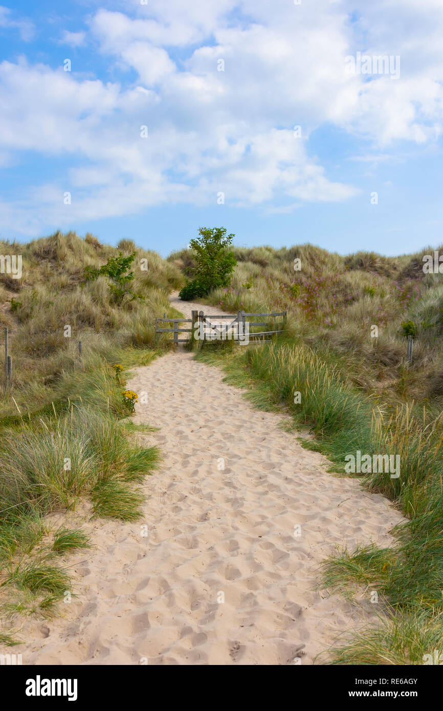 Path pathway through sand dunes to bamburgh beach coast coastal hi-res ...