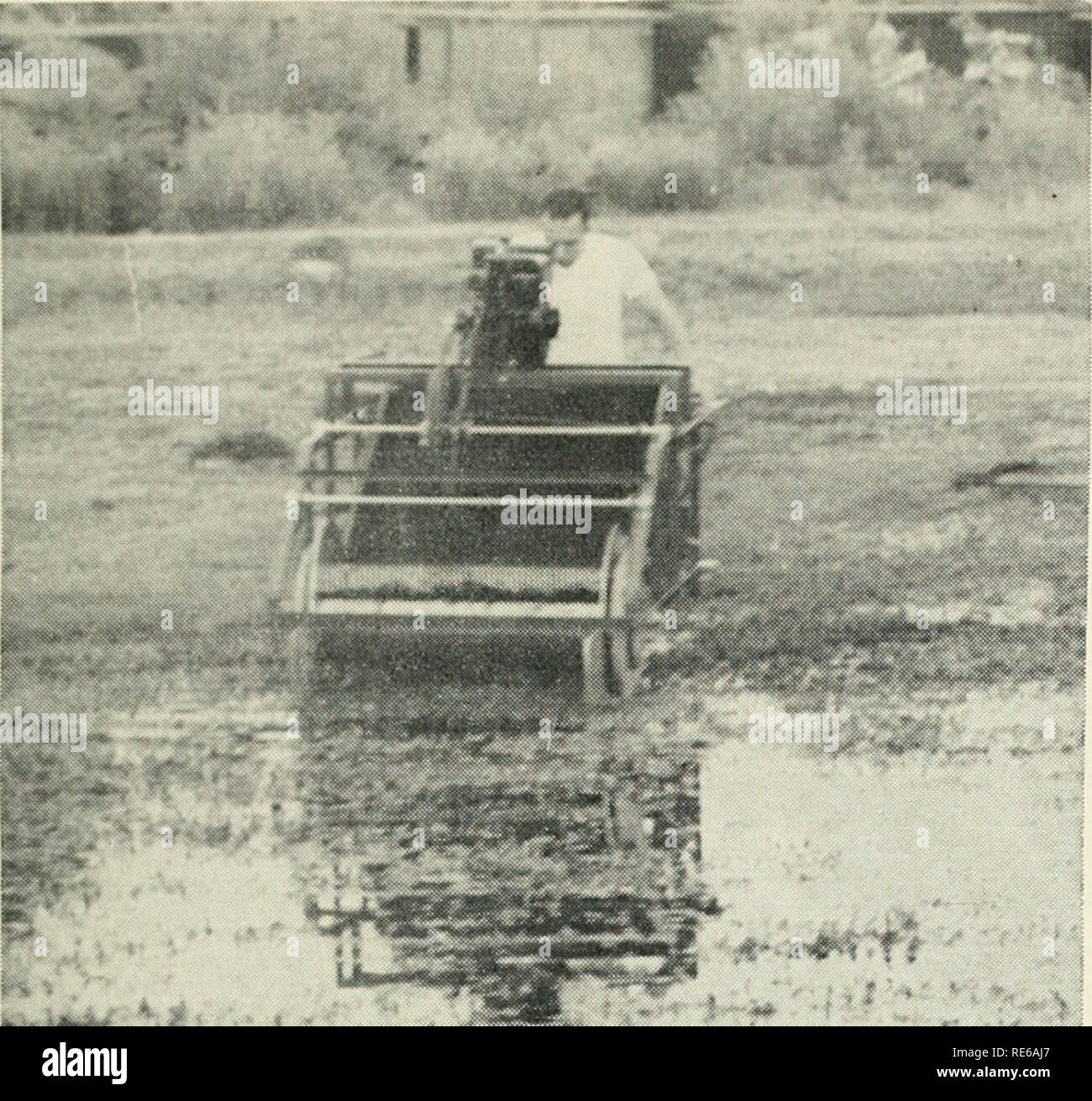 . Cranberries; : the national cranberry magazine. Cranberries. Water ...