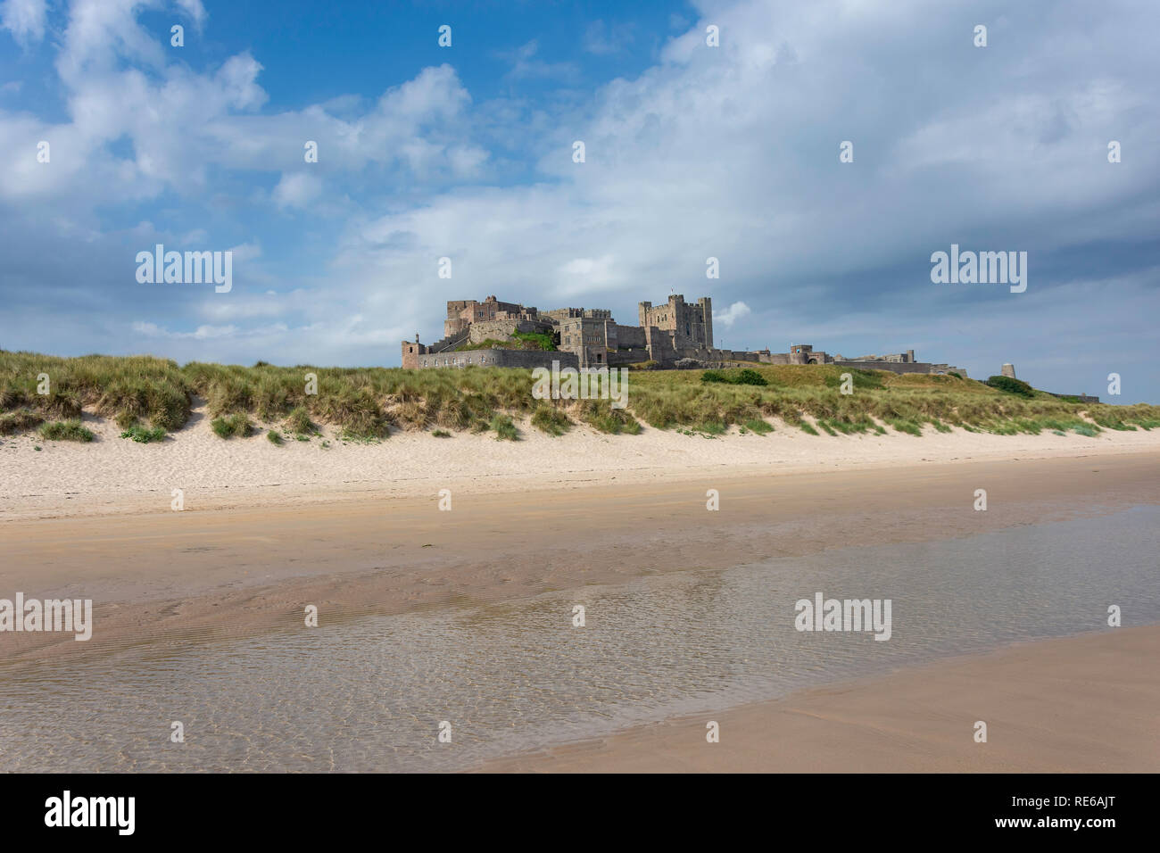 Walking dog castle sand dunes bamburgh coast coastal seaside vil hi-res ...