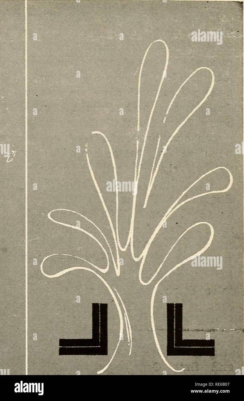 Solid set irrigation hi-res stock photography and images - Alamy