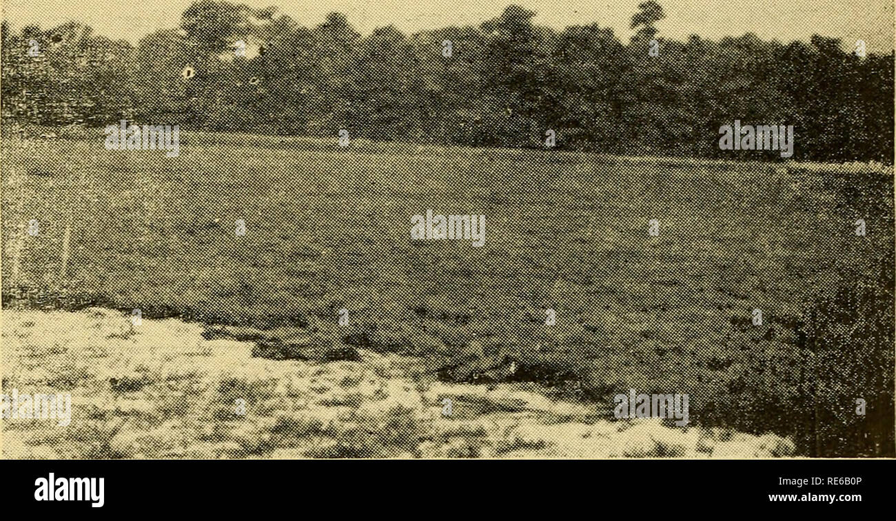 Parathion hi-res stock photography and images - Alamy