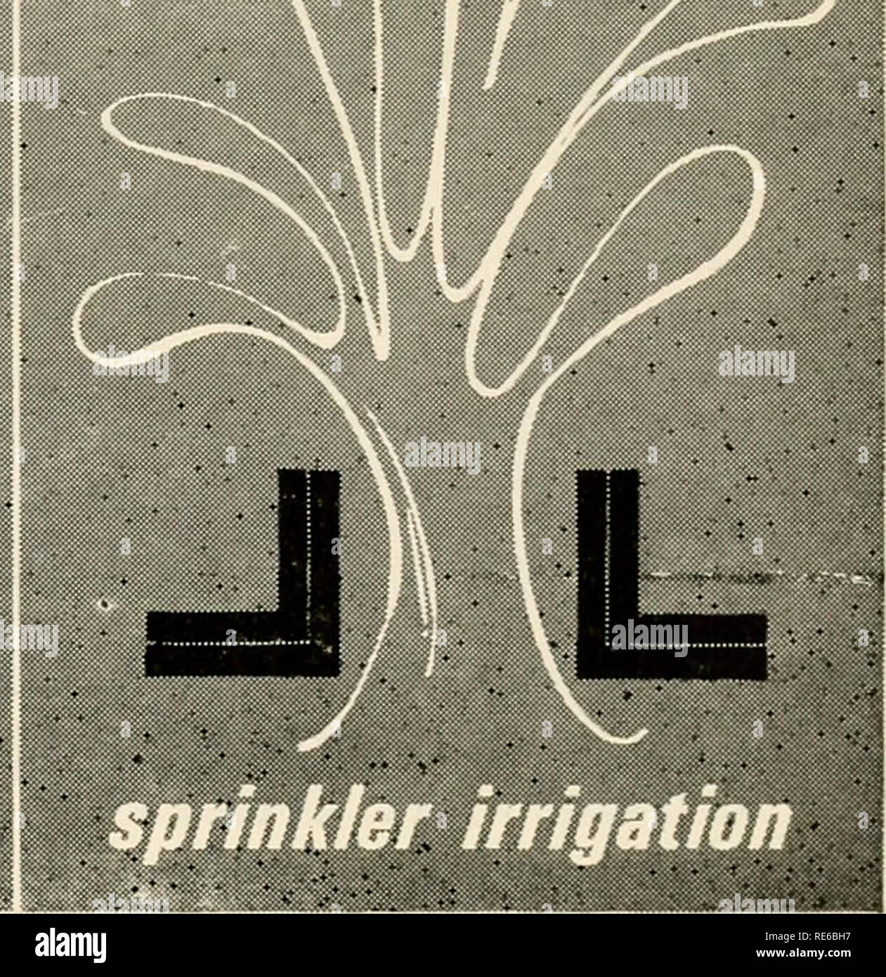 1 also bog bean hi-res stock photography and images - Alamy