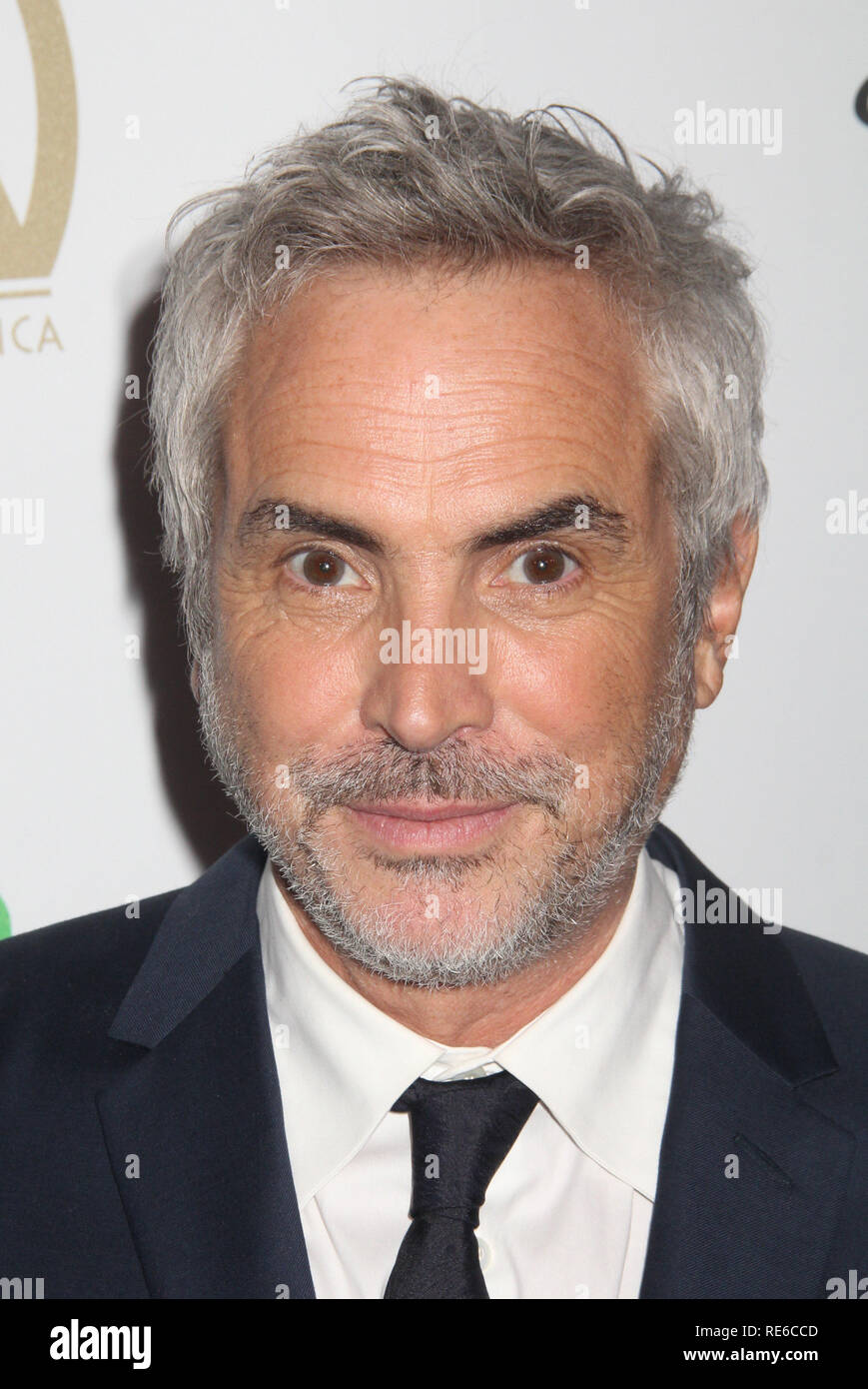 Los Angeles, USA. 19th Jan 2019. Alfonso Cuaron 01/19/2019 The 30th ...