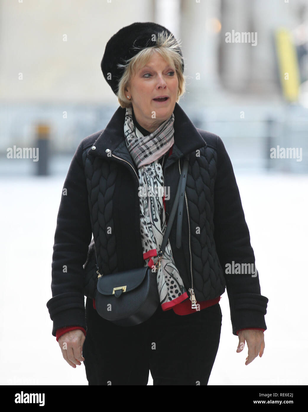 London, UK, January 20th, 2019. Anna Soubry Member of Parliament seen ...