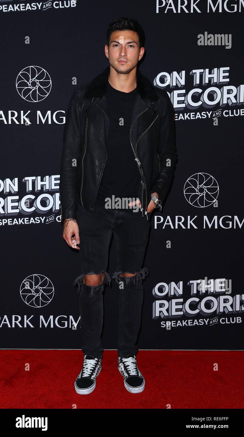 Las Vegas, NV, USA. 19th Jan, 2019. Robert Scott Wilson at arrivals for ...