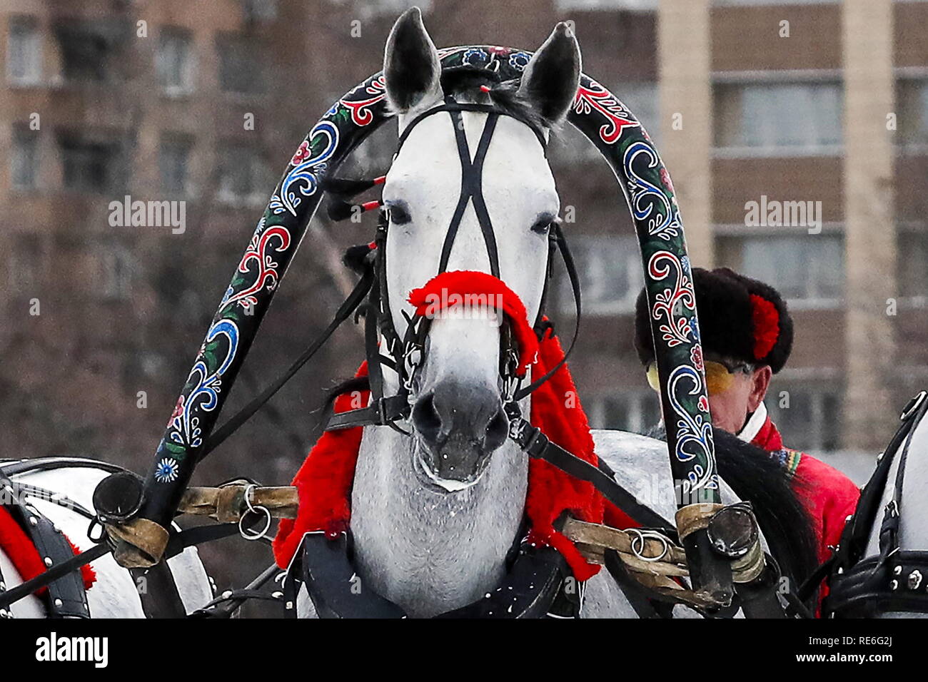 Russian Troika Stock Photos & Russian Troika Stock Images - Alamy