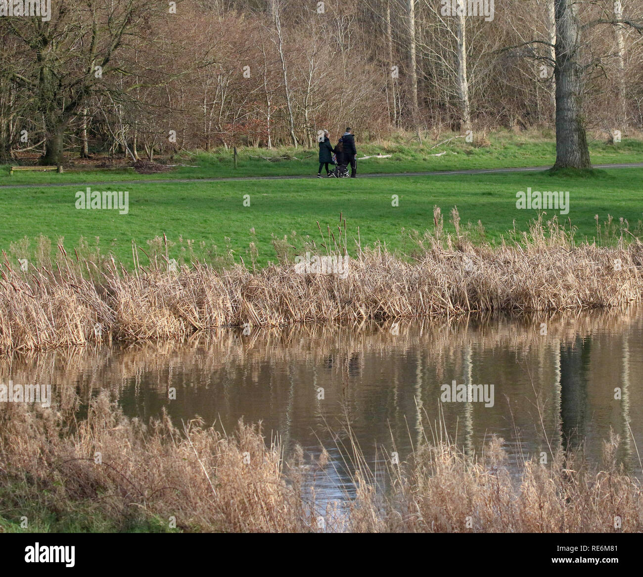 Craigavon Lakes, County Armagh, Northern Ireland. 20 January 2019. UK ...