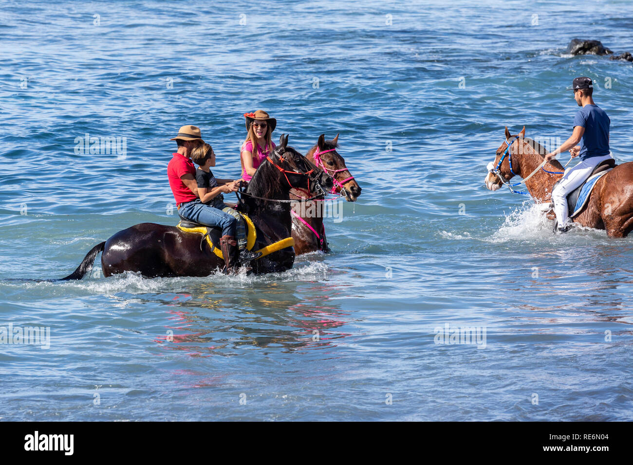 Tenerife, Spain. 20th Jan, 2019. Playa Enramada, La Caleta, Costa Adeje ...