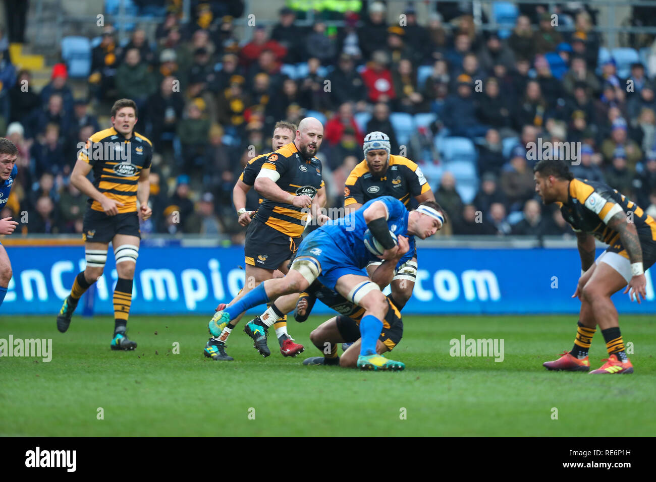 Captain of wasps rugby hi-res stock photography and images - Alamy