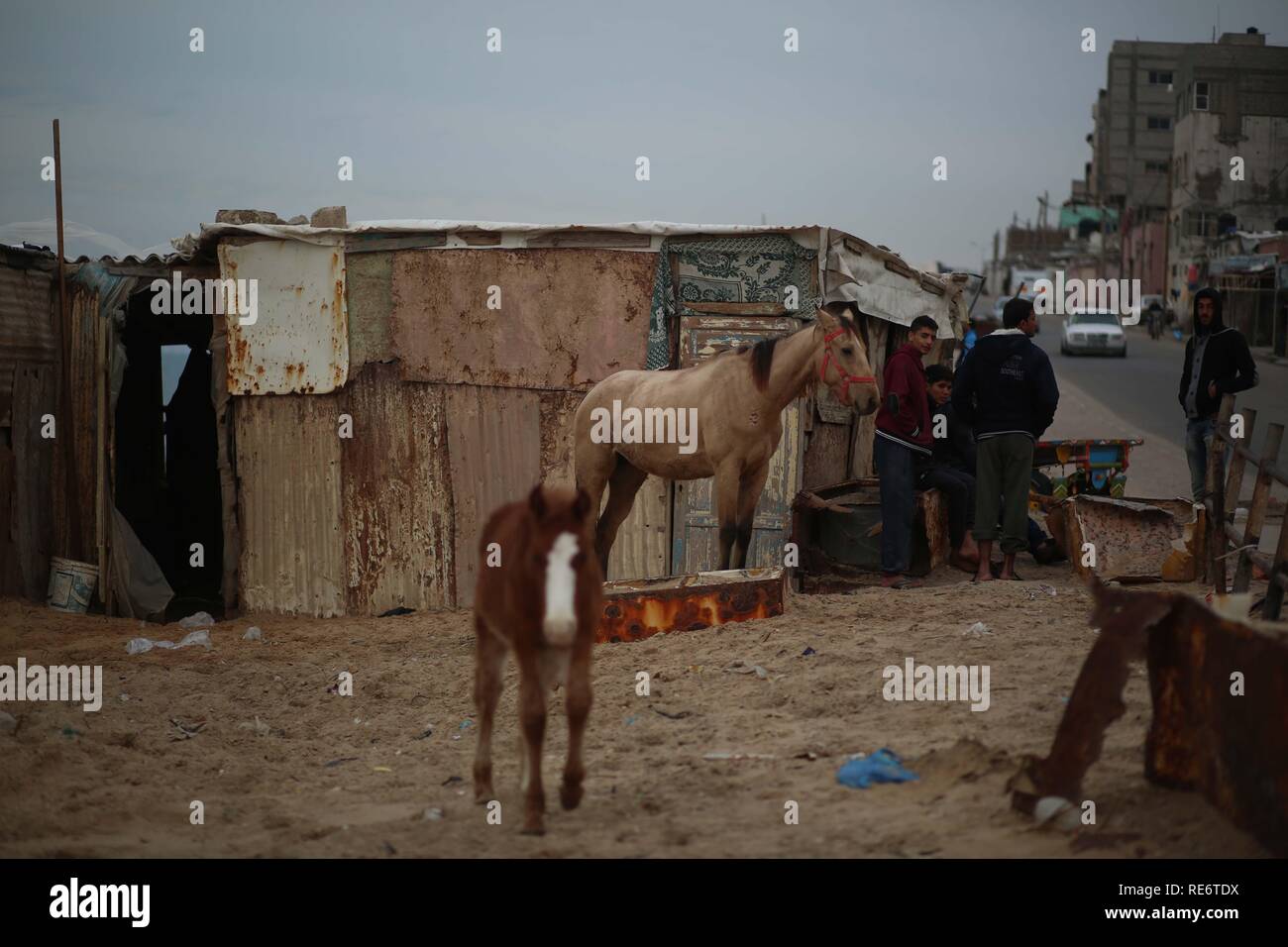 Gaza City, The Gaza Strip, Palestine. 20th Jan, 2019. Palestinians at ...
