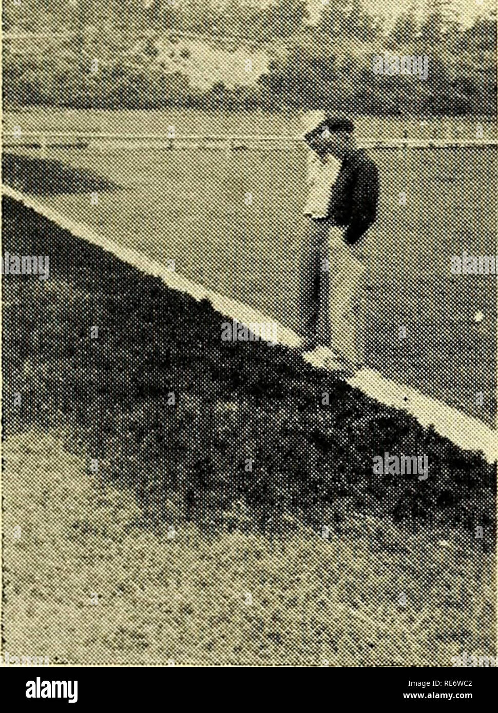 Herbicide used on weed hi-res stock photography and images - Alamy