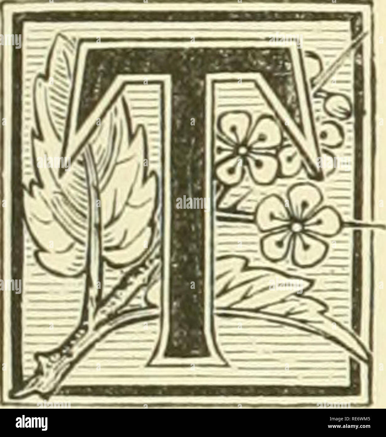 German principalities and cities hi-res stock photography and images ...