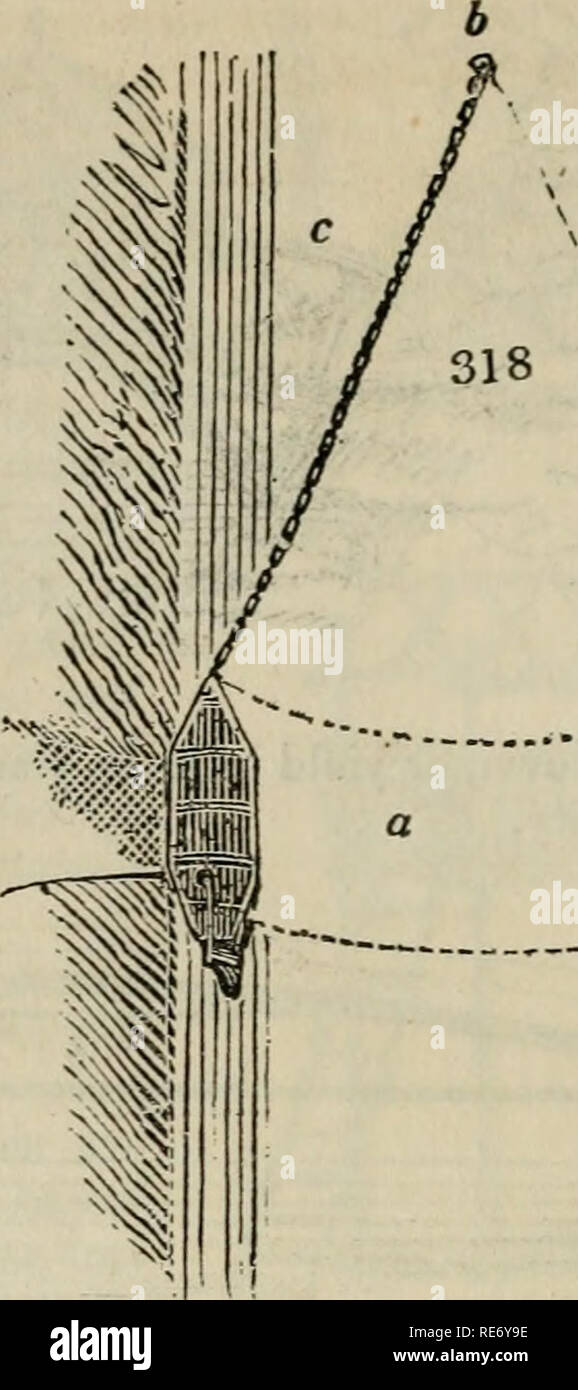 Rudder theory hi-res stock photography and images - Alamy
