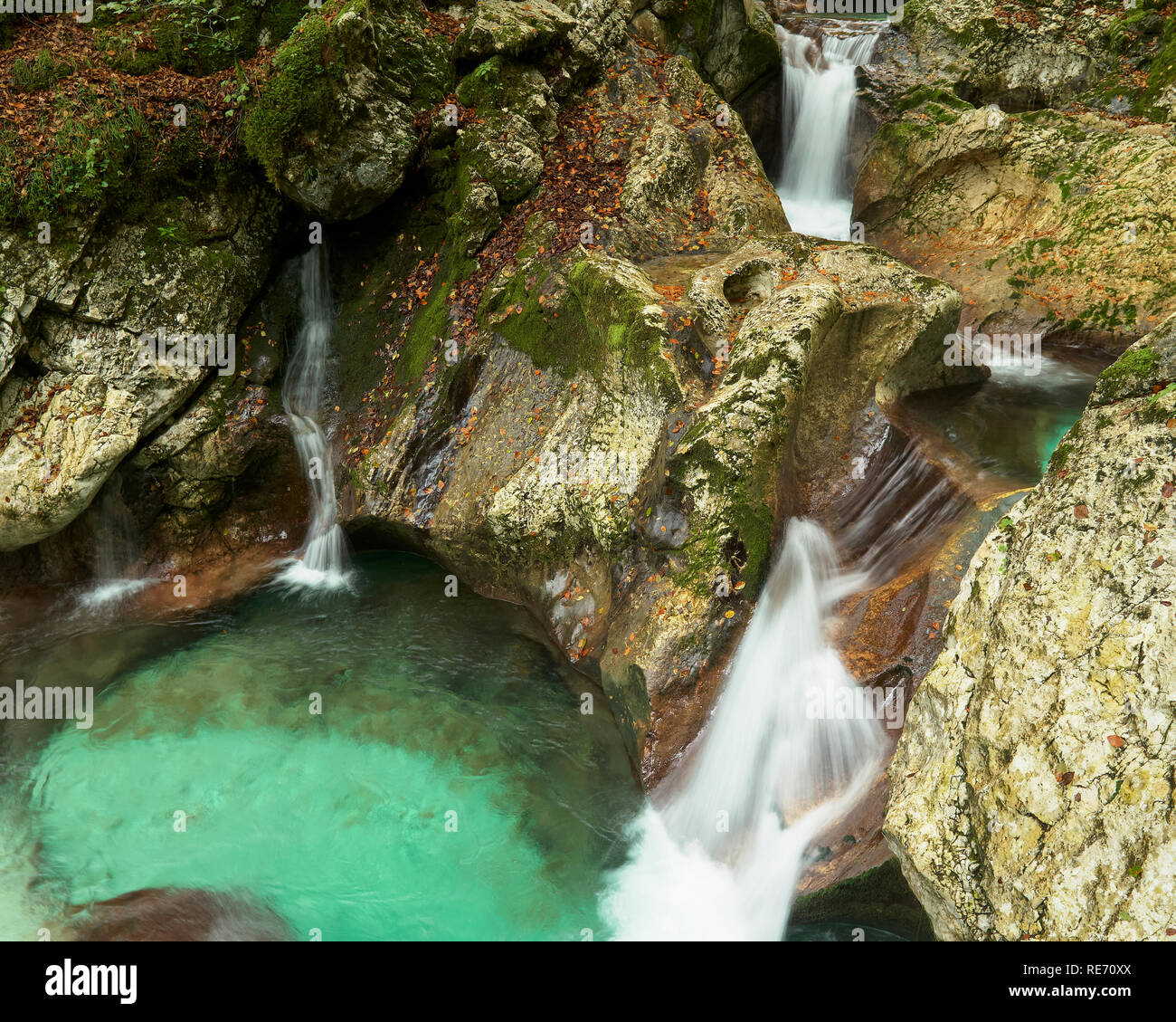 Sunik Water Grove, Lepena Valley, near Soca, Primorska, Slovenia Stock ...
