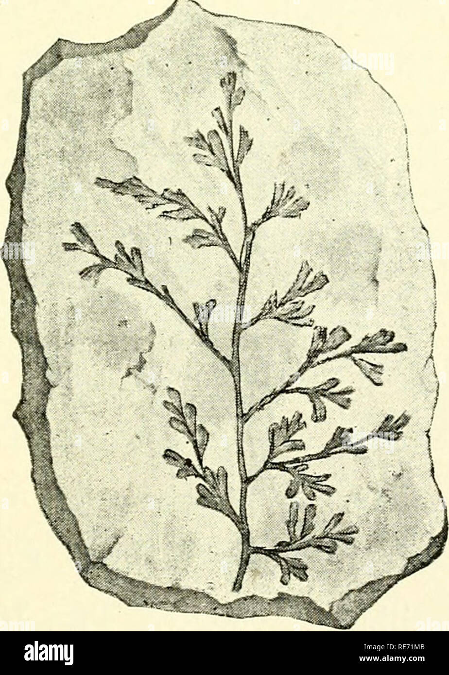 Mechanical contrivances hi-res stock photography and images - Alamy