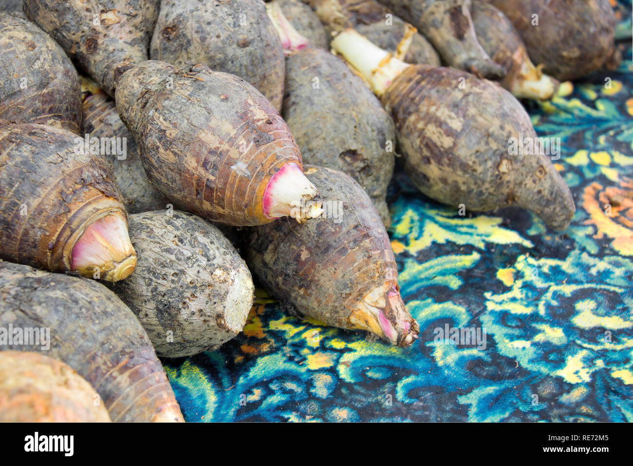 pile of taro for retail sale in local market. background of fresh taro ...