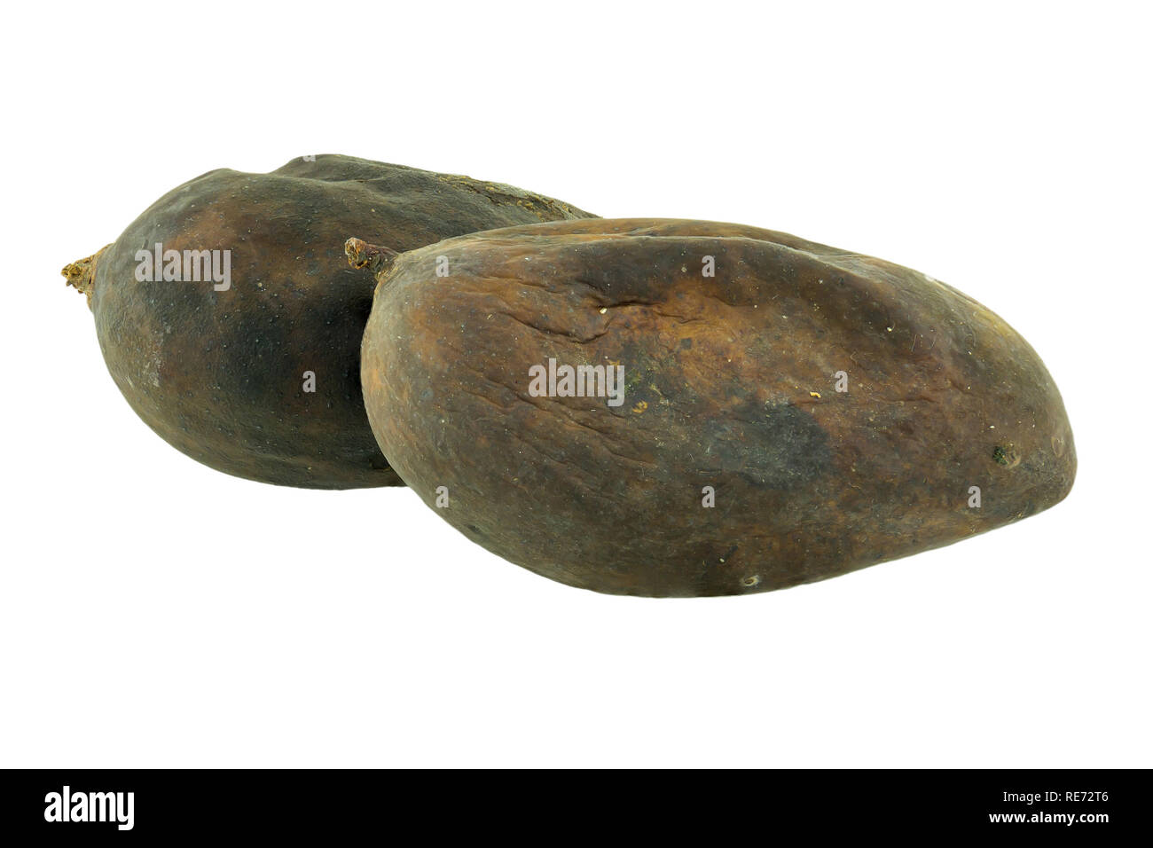 Yellow rotten mangoes isolated on white background Stock Photo - Alamy