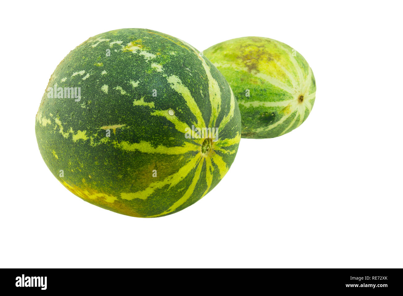 Green musk melon Cut Out Stock Images & Pictures - Alamy