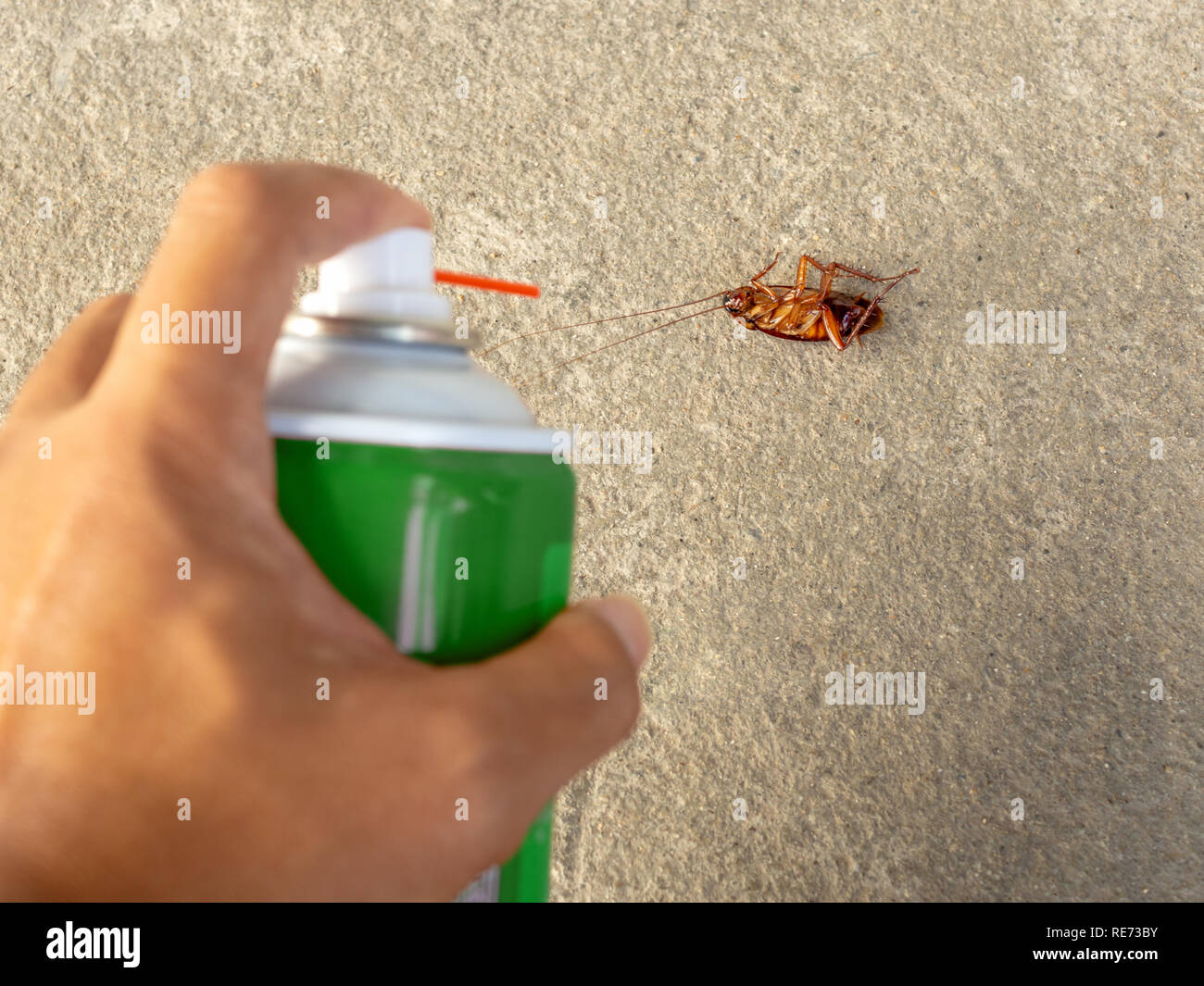 Hand insecticide spray hi-res stock photography and images - Alamy