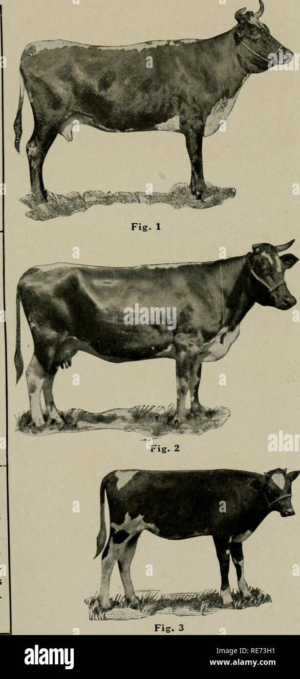 . The cow makes farming more profitable ... Dairying. IMPROVE YOUR ...