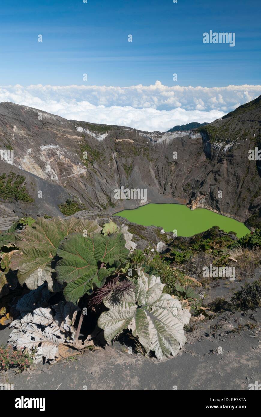 Volcan irazu national park hi-res stock photography and images - Alamy