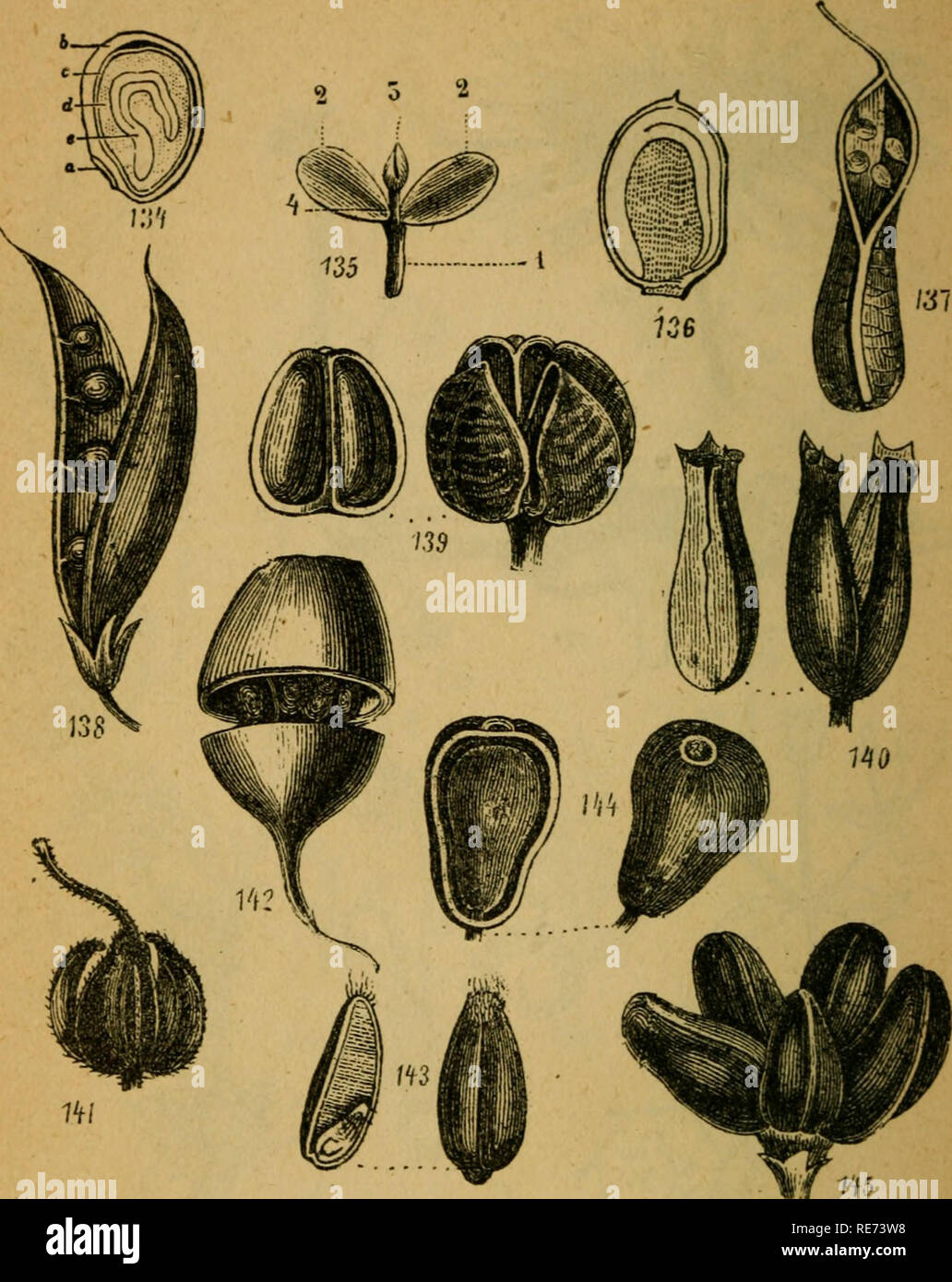 Planche 141 hi-res stock photography and images - Alamy