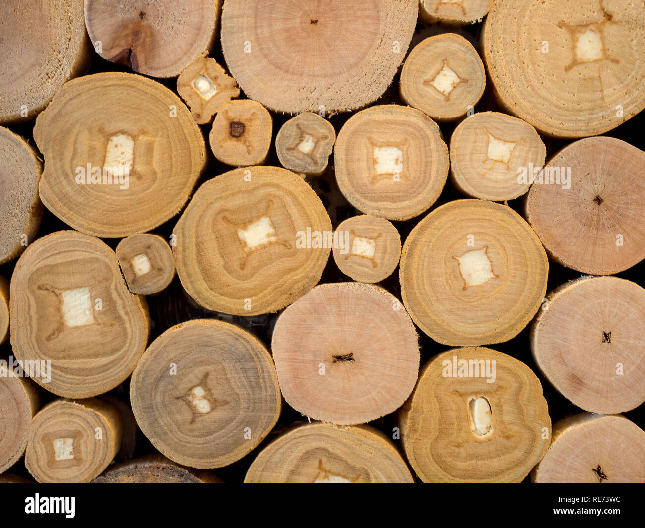 Texture of wooden log section used for background Stock Photo - Alamy