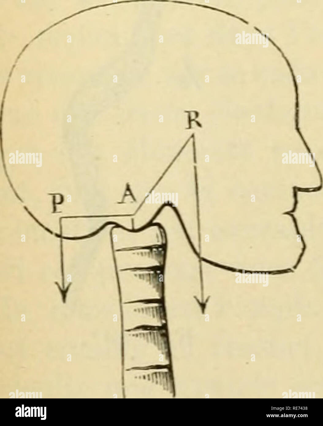 158 cours hi-res stock photography and images - Alamy