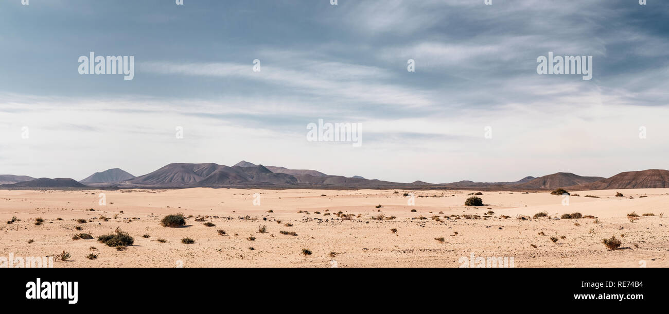 Empty desert hi-res stock photography and images - Alamy