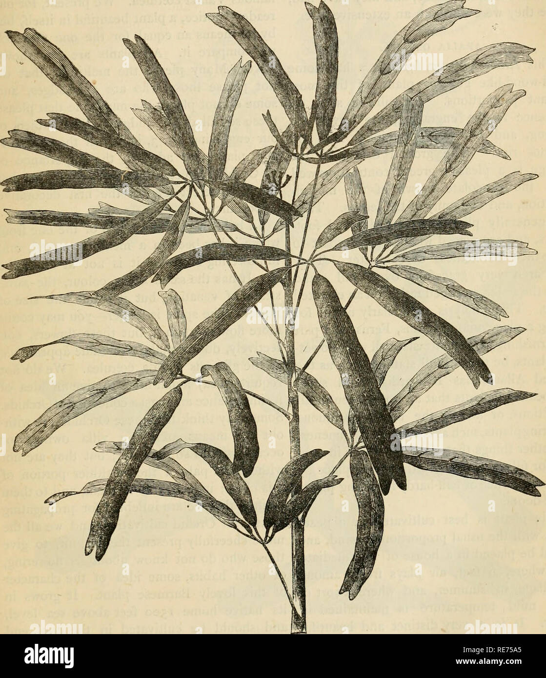 . The Country gentleman's magazine. Agriculture; Agriculture -- Great ...