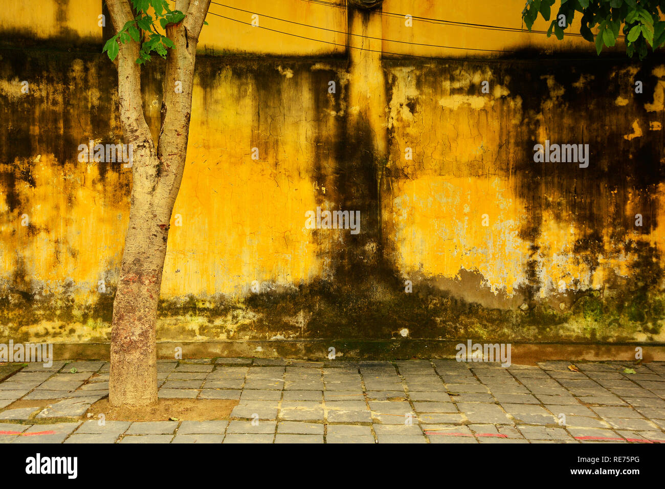 A yellow wall on an old historic building in the UNESCO listed central ...