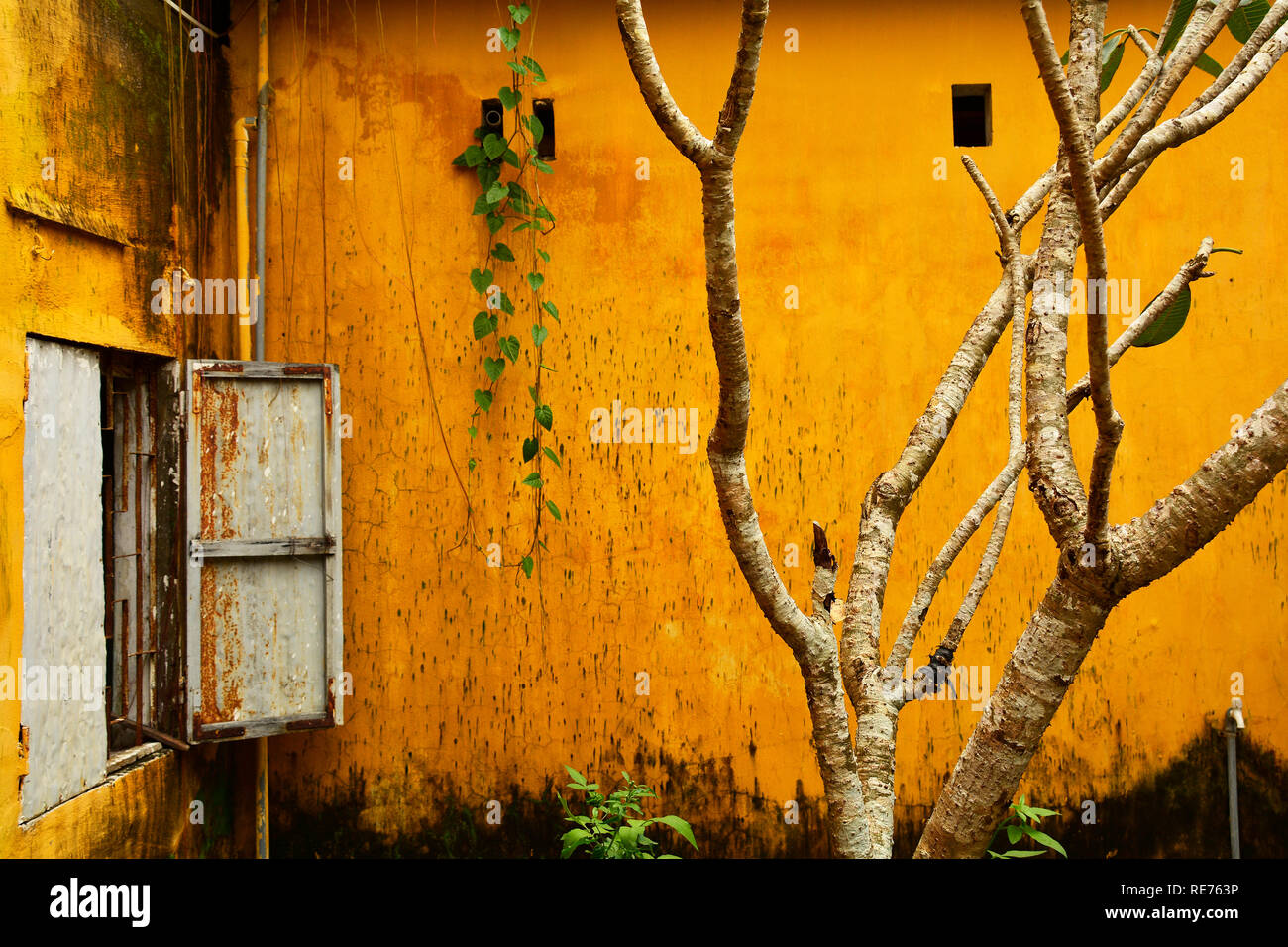 A yellow wall on an old historic building in the UNESCO listed central ...