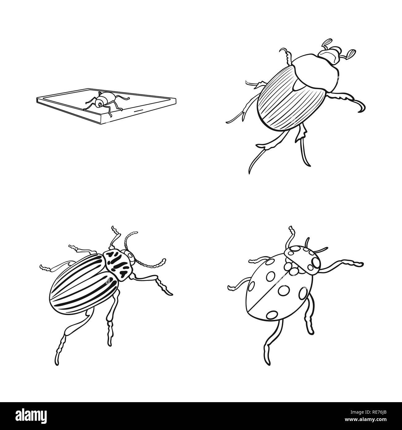 horn,ladybug,cockroach,pest,bug,insect,beetle,animal,halloween,drawn ...