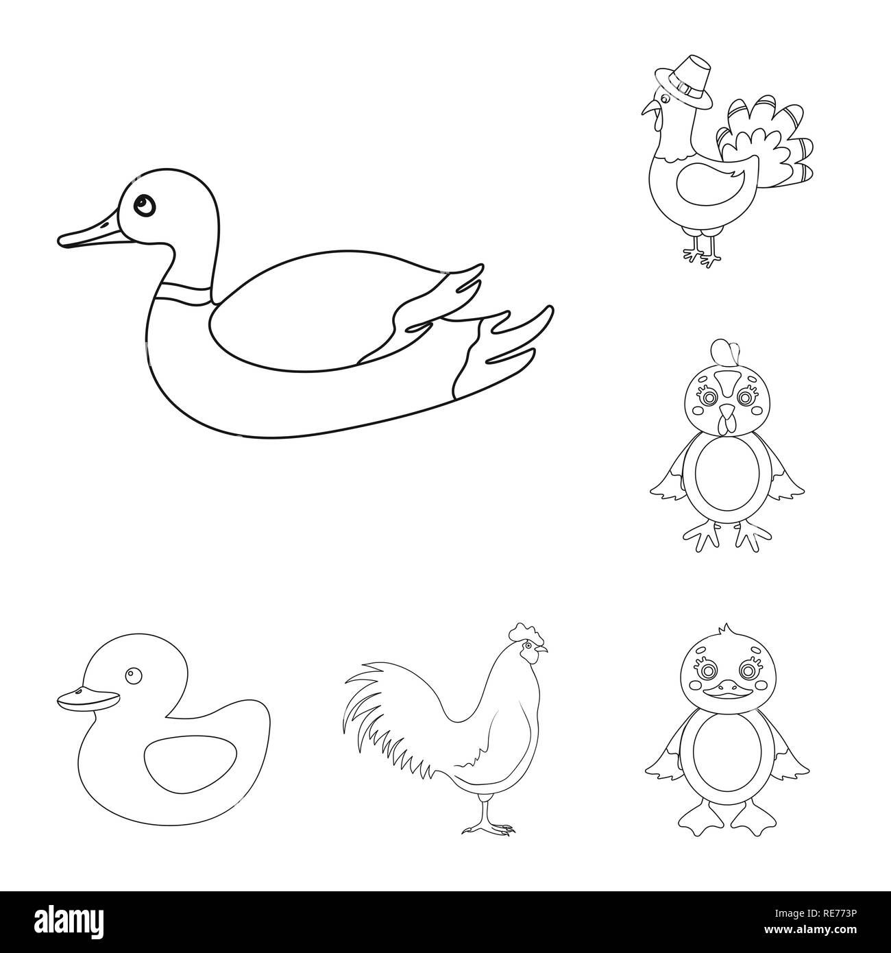 duck,hen,chick,duckling,rooster,chicken,hat,duckegg,baby,animal,funny ...
