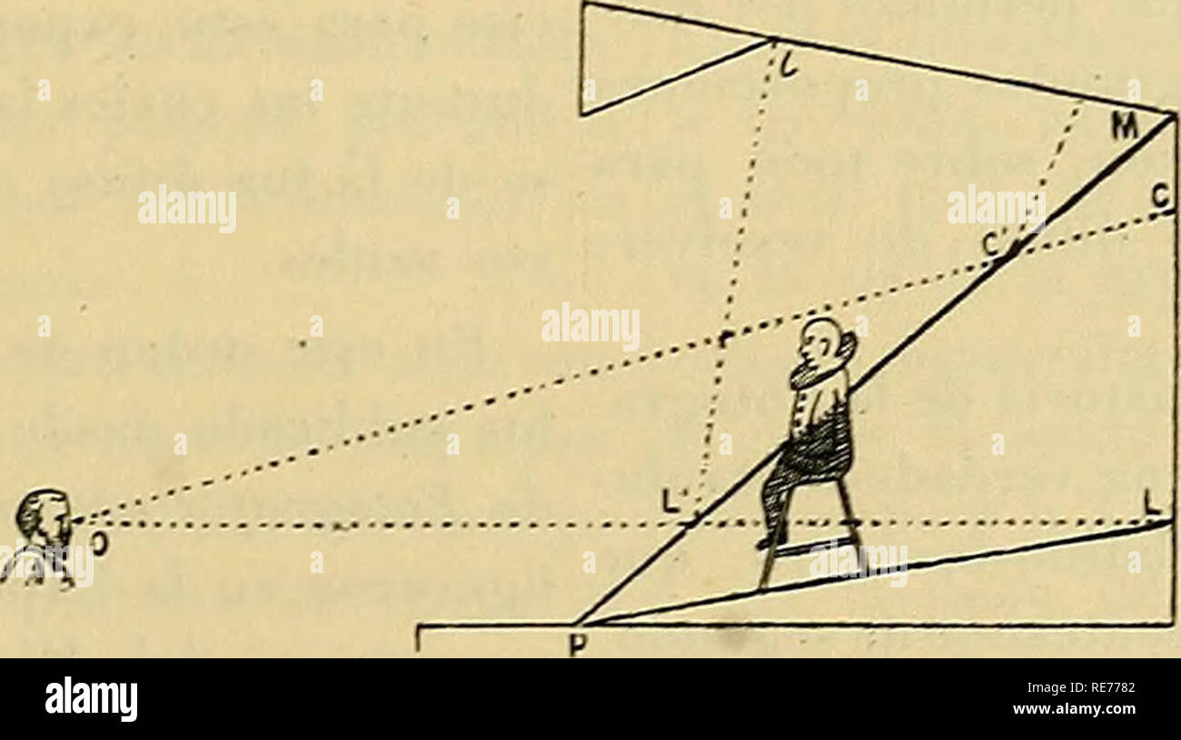 Linea del busto hi-res stock photography and images - Alamy