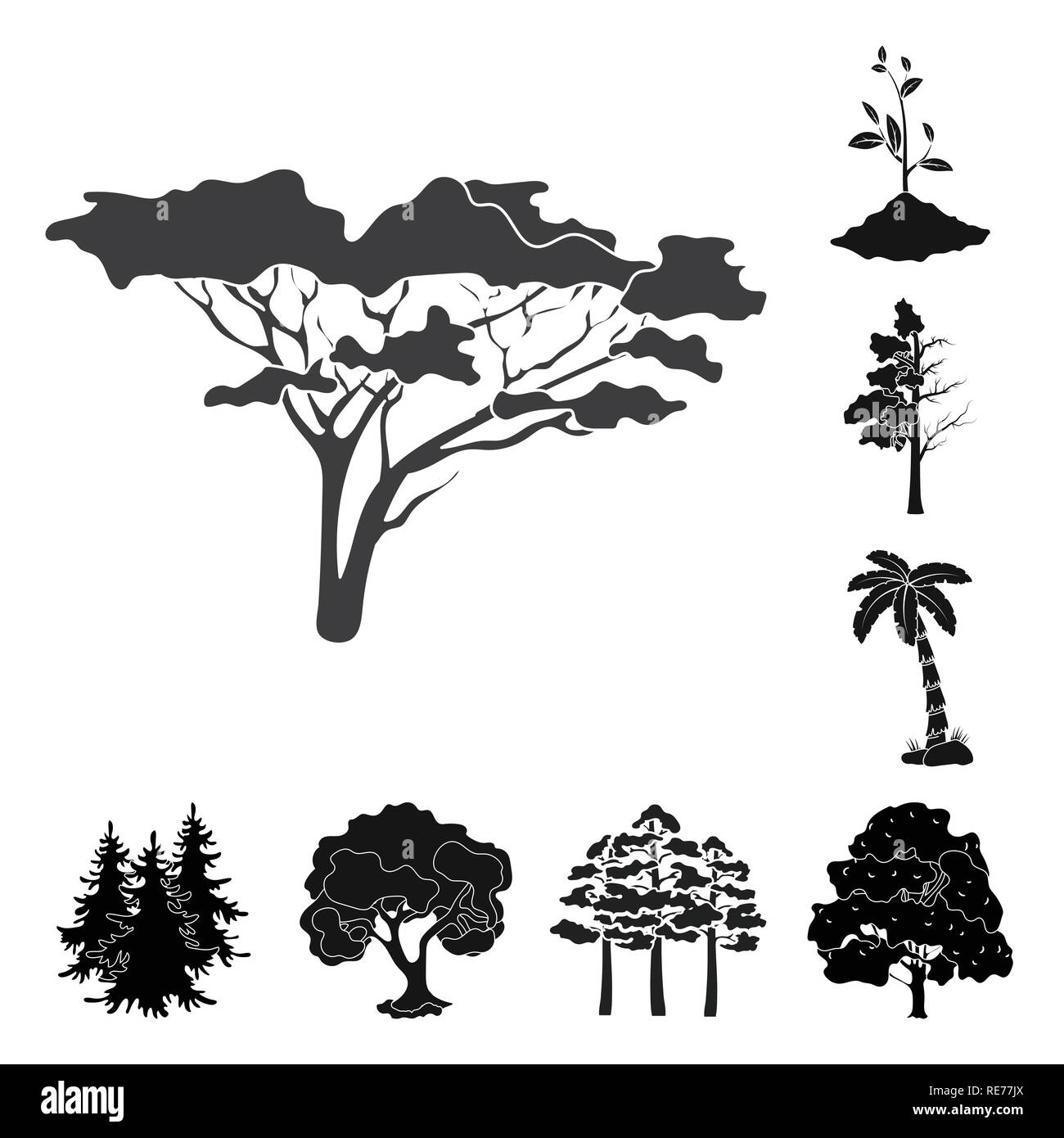 California black oak tree Stock Vector Images - Alamy