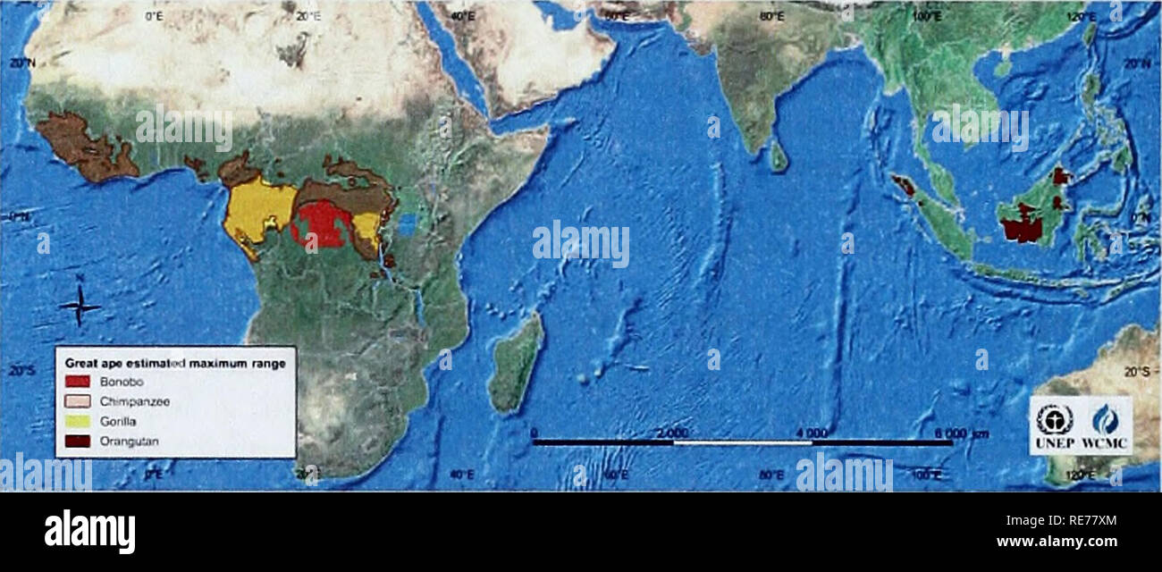 Endangered species and extinctions hi-res stock photography and images ...