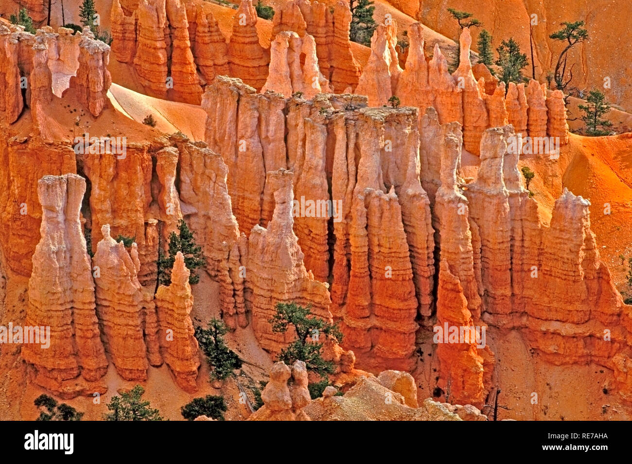 Limestone Rock Formations, Bryce Canyon National Park, Utah, USA Stock ...