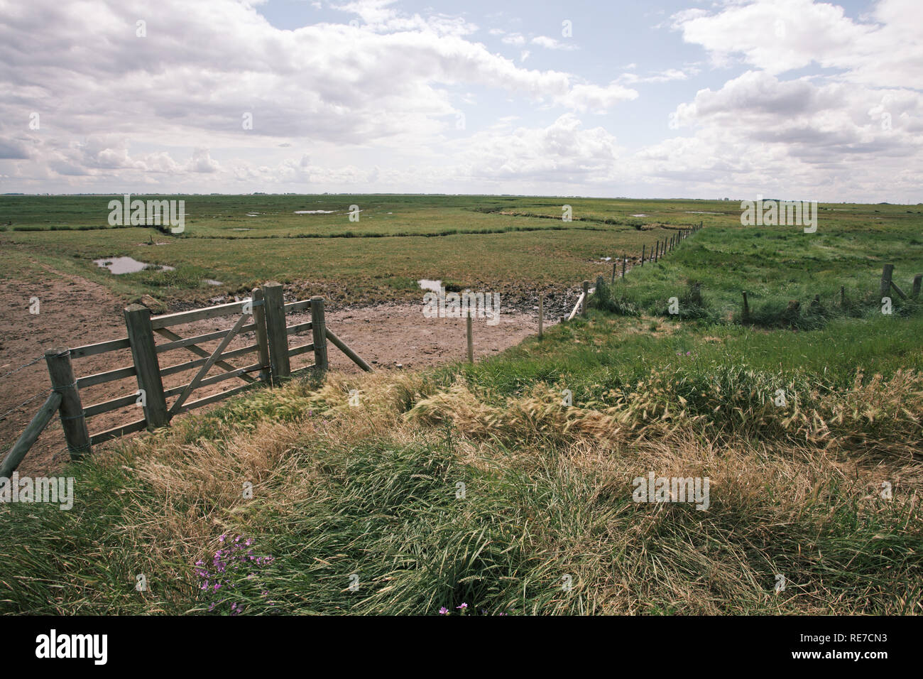 Witham Marsh Lincolnshire England UK Stock Photo - Alamy