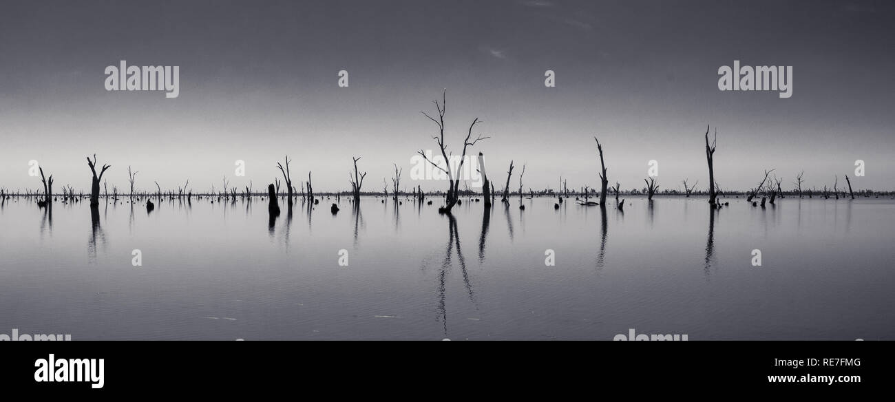 Tree trunk sticking out into the water hi-res stock photography and ...