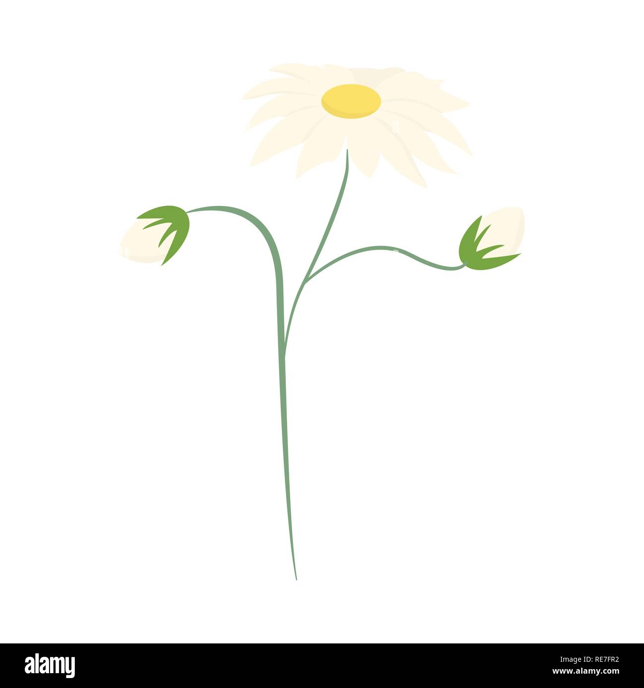 Chamomile on white background for graphic and web design, Modern simple ...
